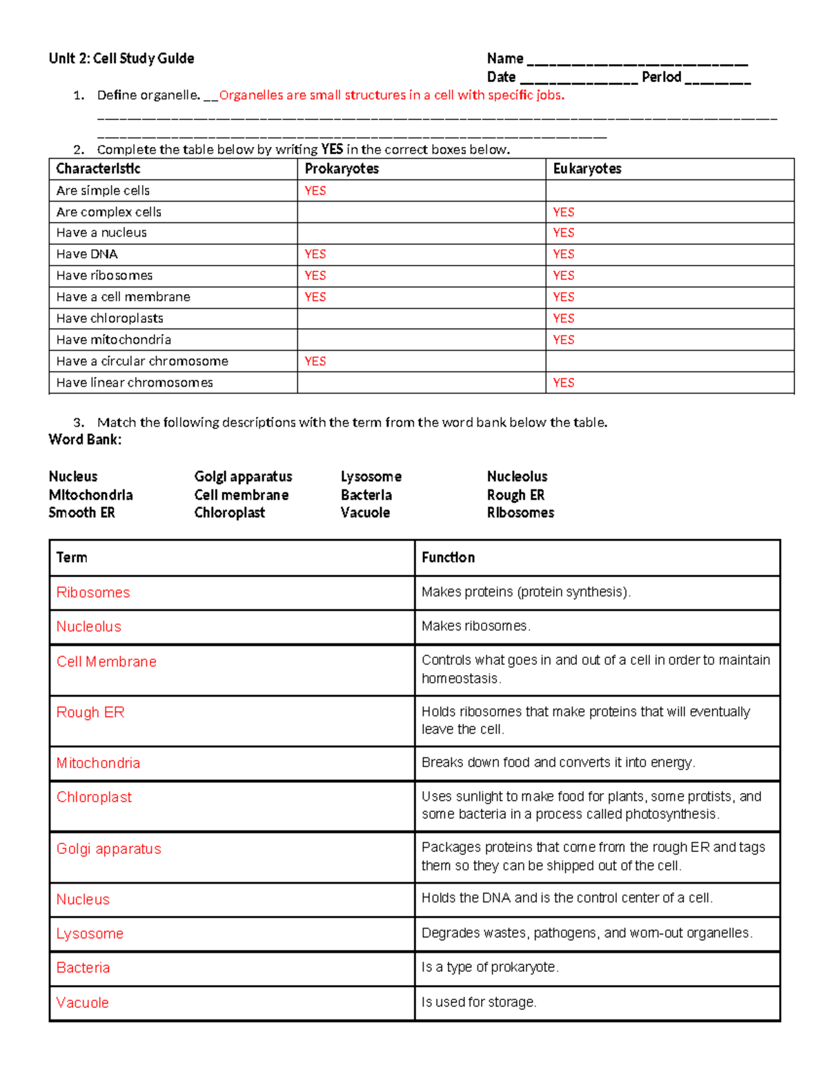 Cells Study Guide KEY 2024: Unit 2 Overview and Key Concepts - Studocu