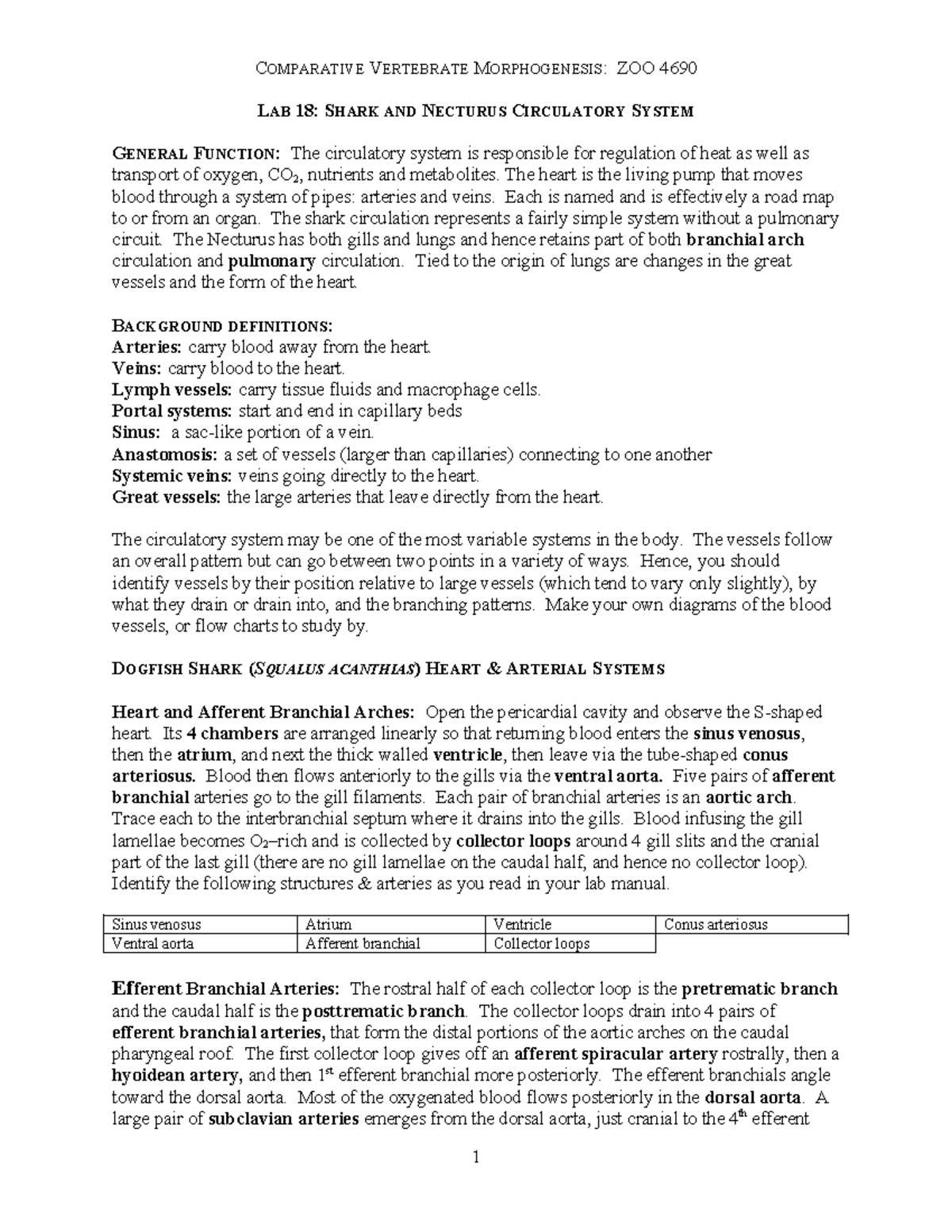 COMPARATIVE VERTEBRATE MORPHOGENESIS: ZOO 4690 LAB 18 CIRCULATORY ...