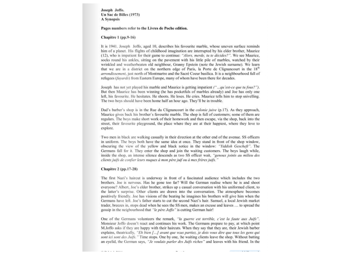 Summary Un Sac de billes - Studocu