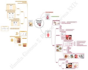 3 - Semiologia Cardiovascular - Semiologia do Sistema Cardiovascular ...