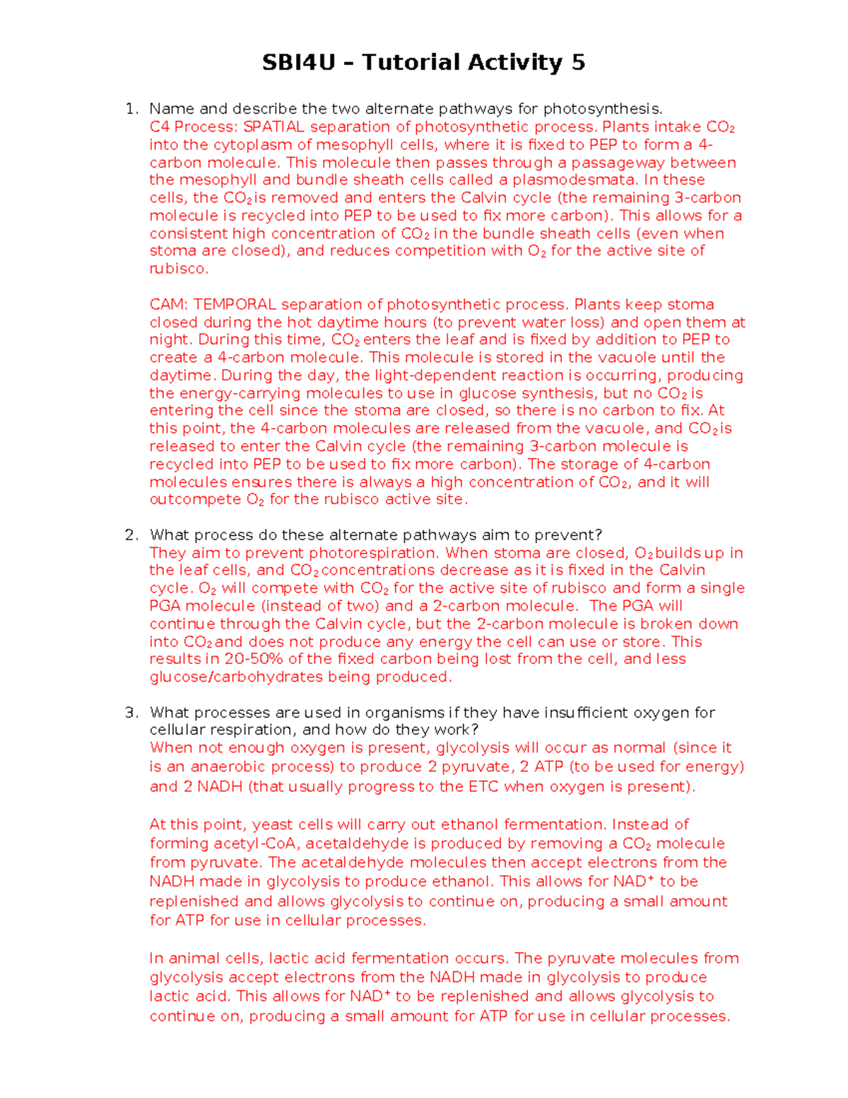 SBI4U Tutorial Activity 5: Photosynthesis Pathways & DNA Discovery ...