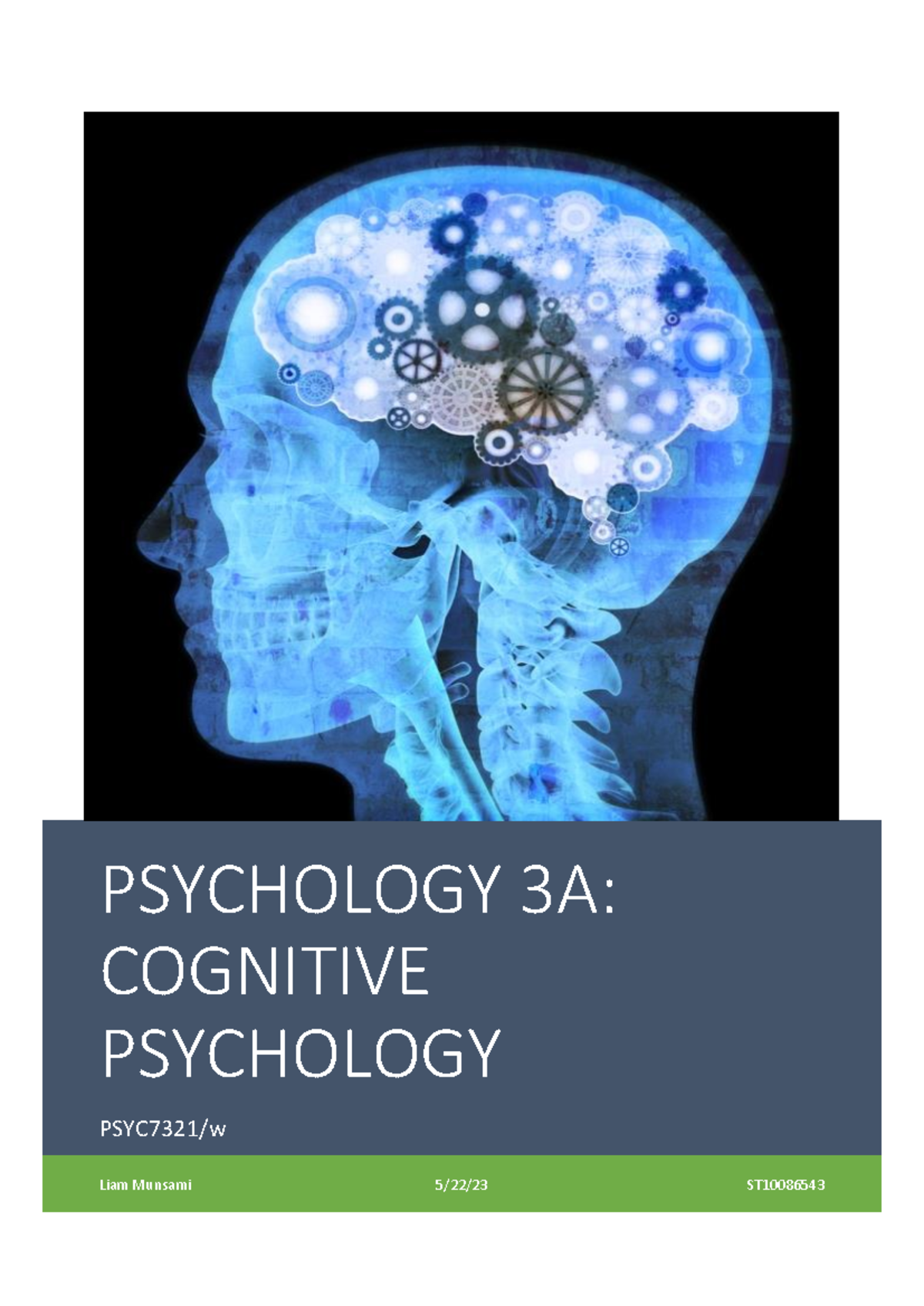 Cognitive psychology assignment 2 submission - PSYCHOLOGY 3A: COGNITIVE ...