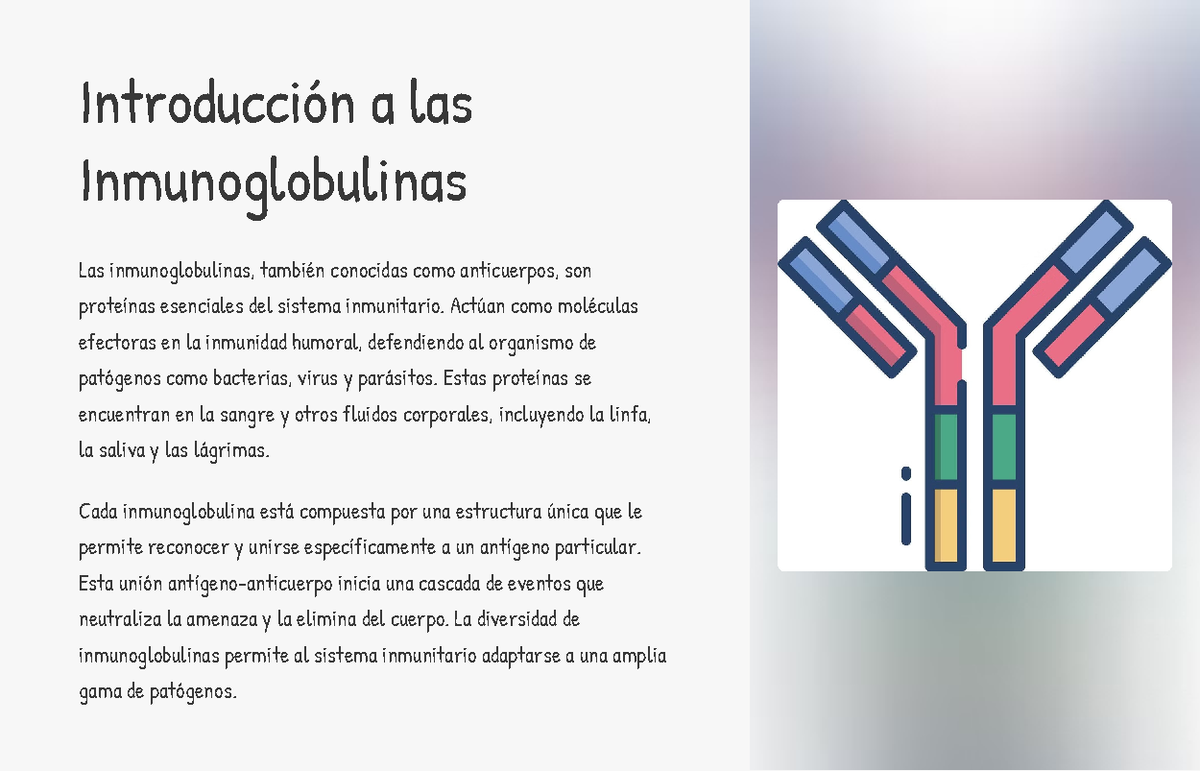 Inmunoglobulinas: Introducción y Funciones Esenciales en la Inmunidad ...