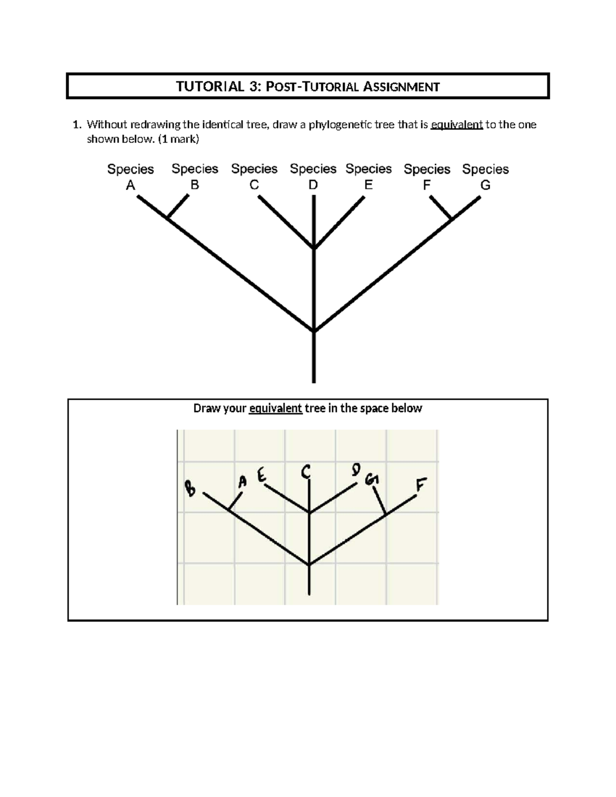 TUTORIAL 3: PHYLOGENETIC TREE ASSIGNMENT 1 - Studocu