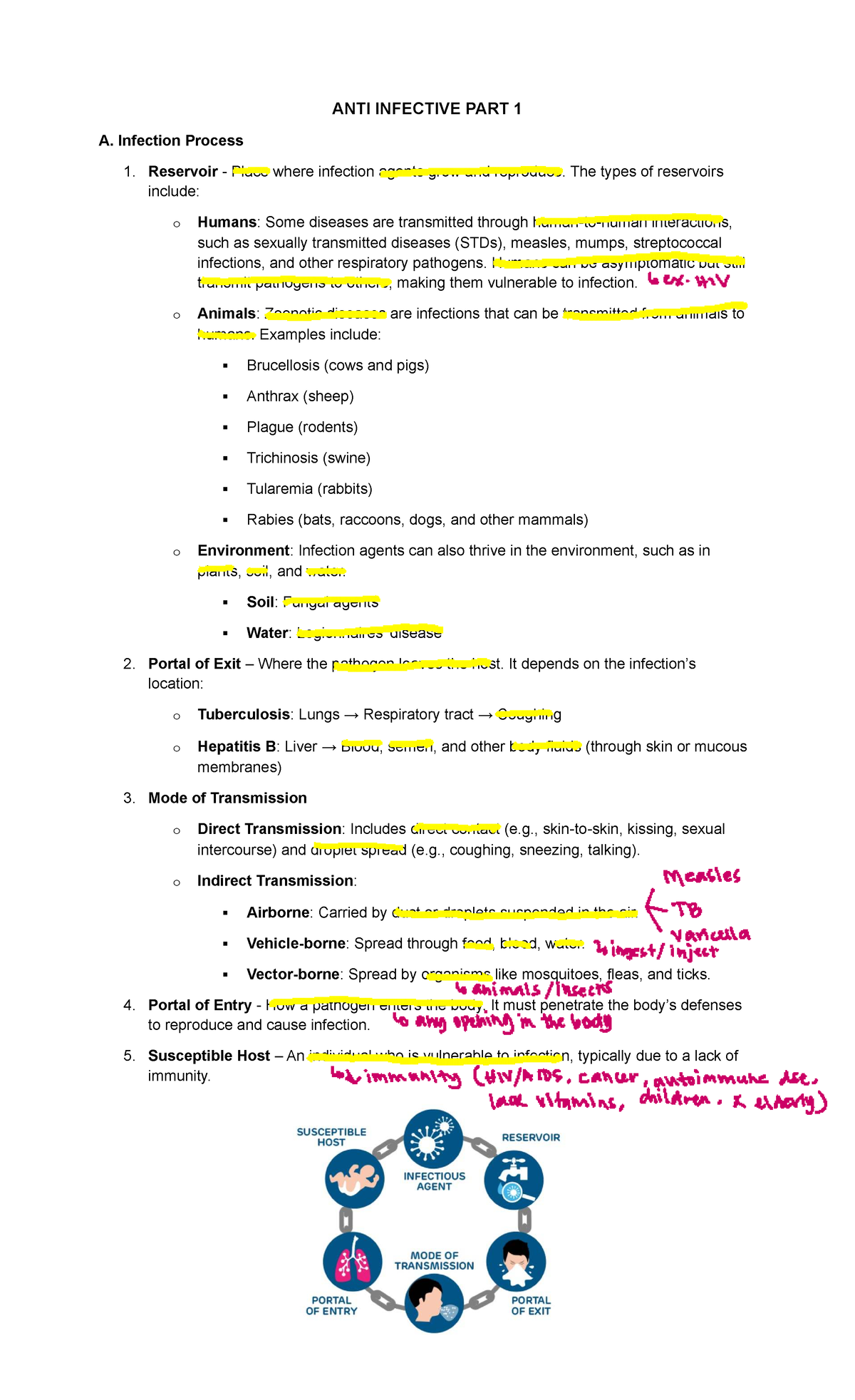 ANTI-INFECTIVE PART 1: Infection Process & Medications Overview - Studocu