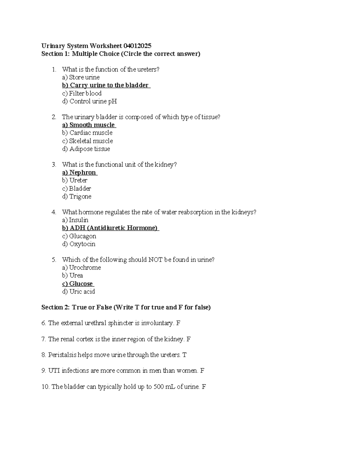 Urinary System Worksheet 04012025 - Urinary System Worksheet 04012025 ...