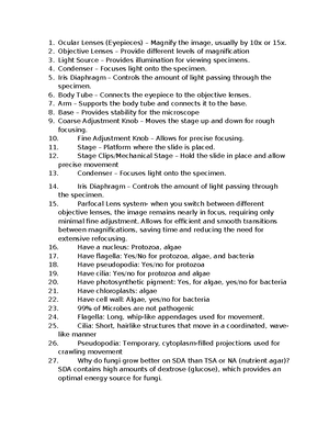 Biology Lab Protists - notes - The Four Supergroups of Protists ...