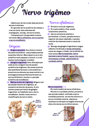 Parecer - Oxinest® cloridrato de oxibuprocaína Solução oftálmica ...