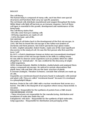 Grade 9 DLP Lesson Study Conservation of Mechanical Energy - MY DAILY LESSON PLAN School Grade ...