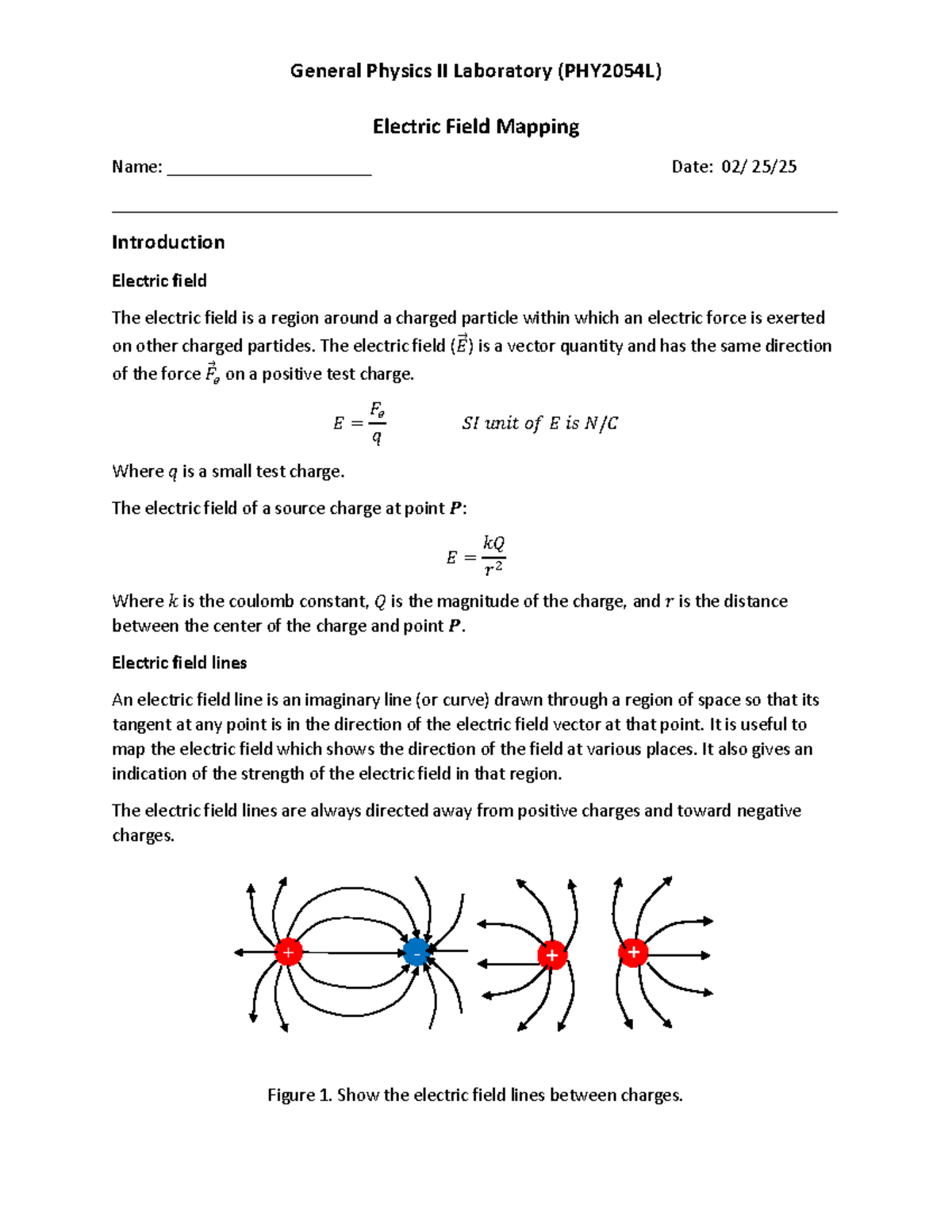 Electric Field Mapping Lab Report (PHY2054L) - Studocu
