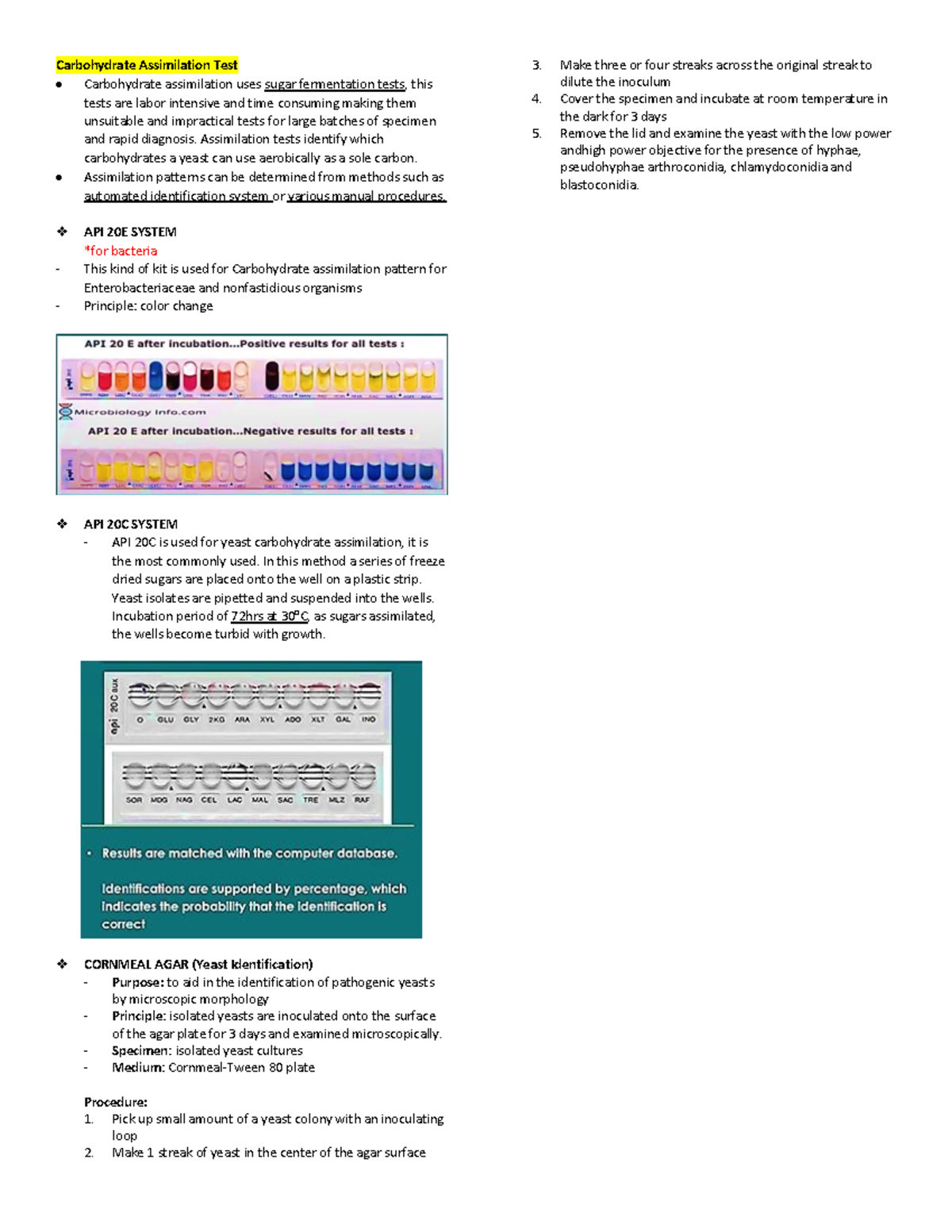 MYCV LAB Notes-2: Carbohydrate Assimilation Testing Techniques - Studocu