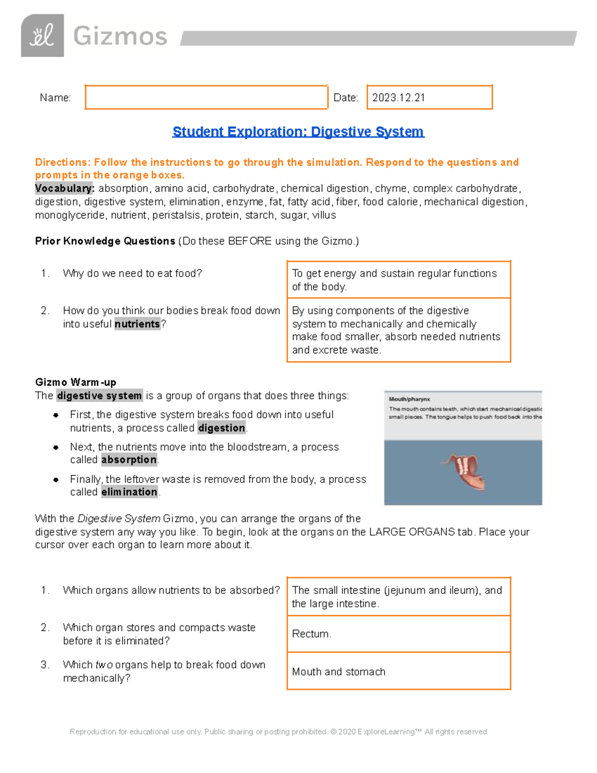 Digestive System Exploration: Gizmo Simulation Guide - Studocu