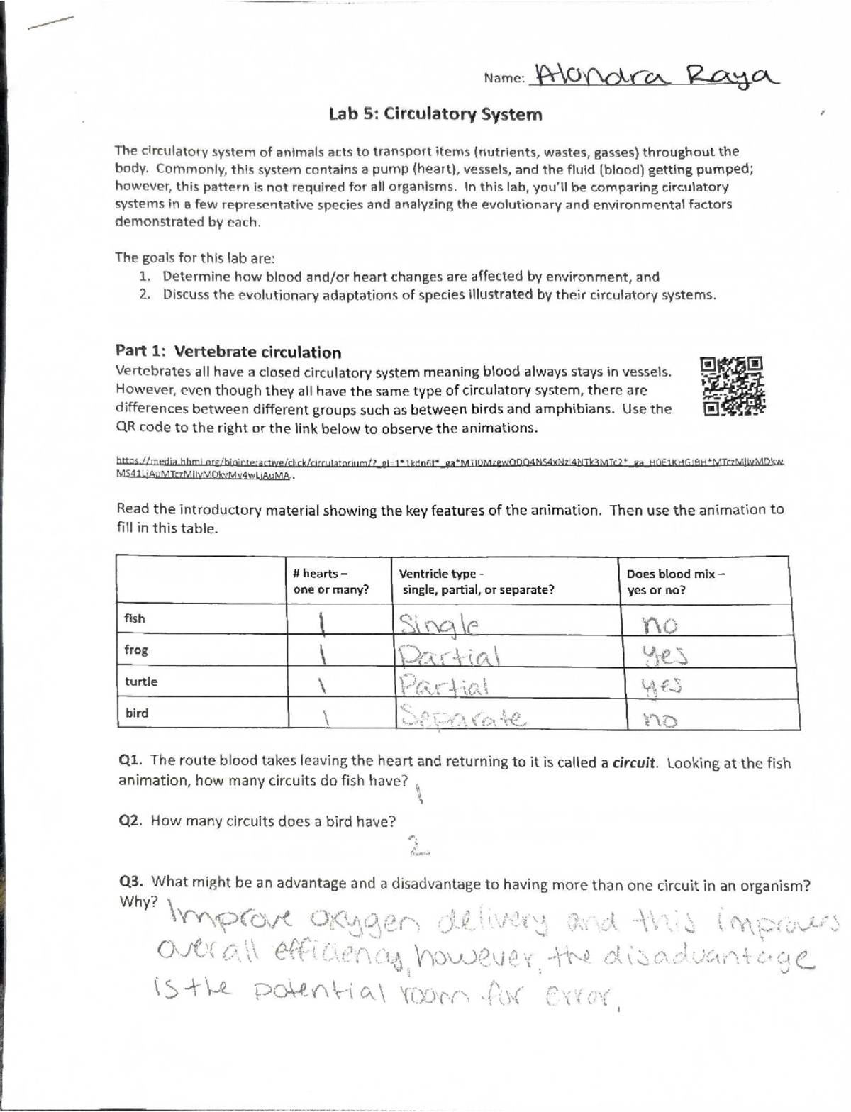 CLAS101 Lab 5: Comparative Circulatory Systems in Animals - Studocu