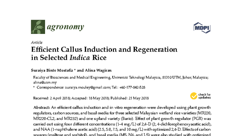 Efficient Callus Induction and Regeneration in Indica Rice Varieties ...