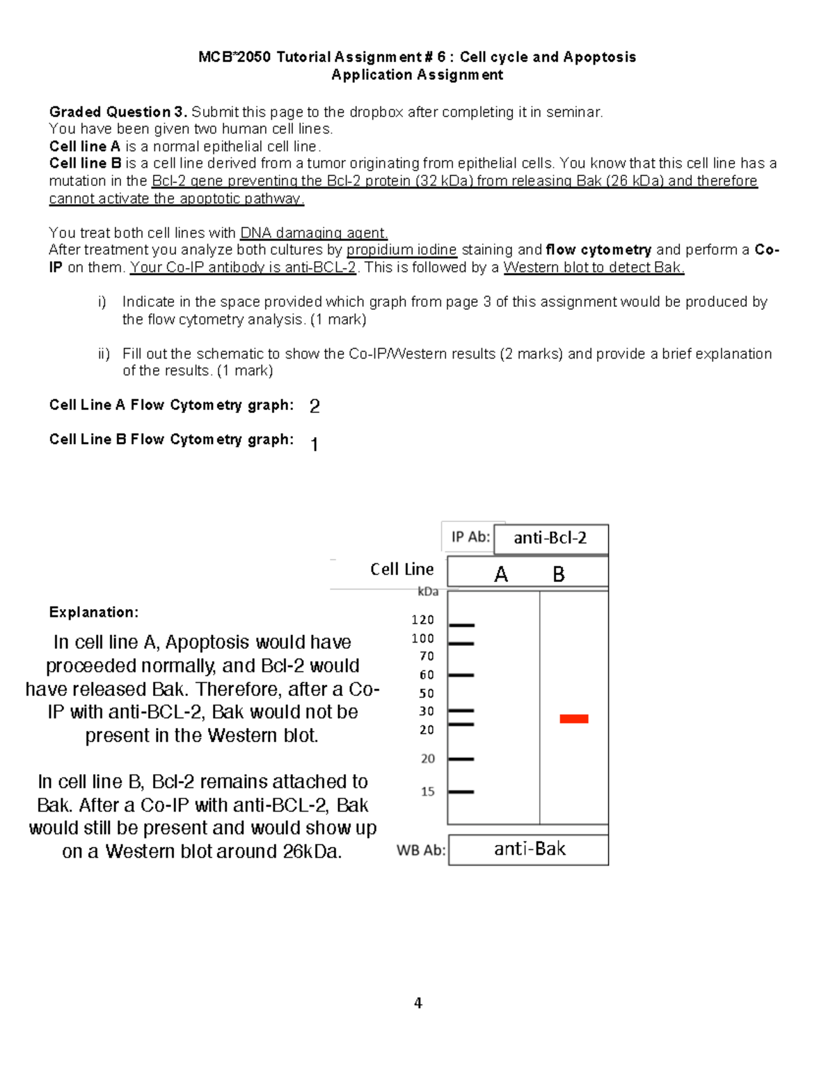 MCB*2050 Tutorial 6: Examining Cell Cycle & Apoptosis in Cell Lines ...