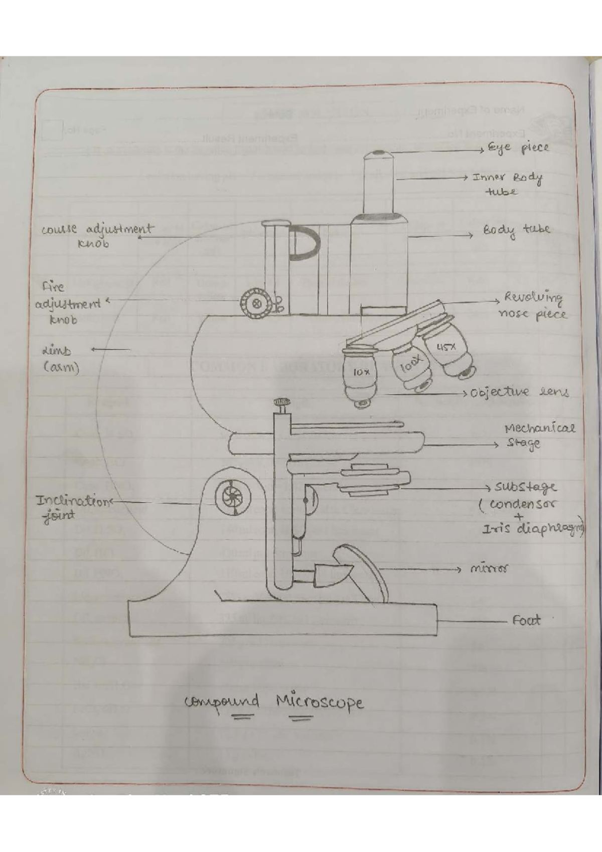 Gen. Histo. Lab Report: Microscope & Tissue Analysis - Studocu