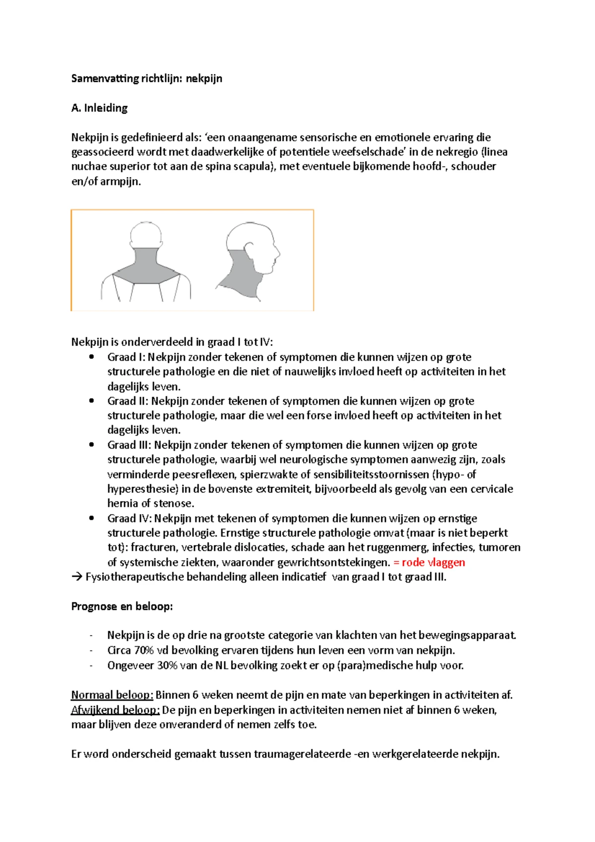 Anatomie en Functies van de Enkel Regio: Botten, Spieren en Ligamenten ...