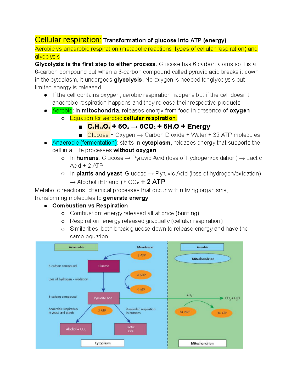Biology Chapter 2 Test - Summary of unit's main topics. - Cellular ...