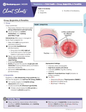 Diuretics Cheat Sheet: Key Medications & Considerations for Nursing ...