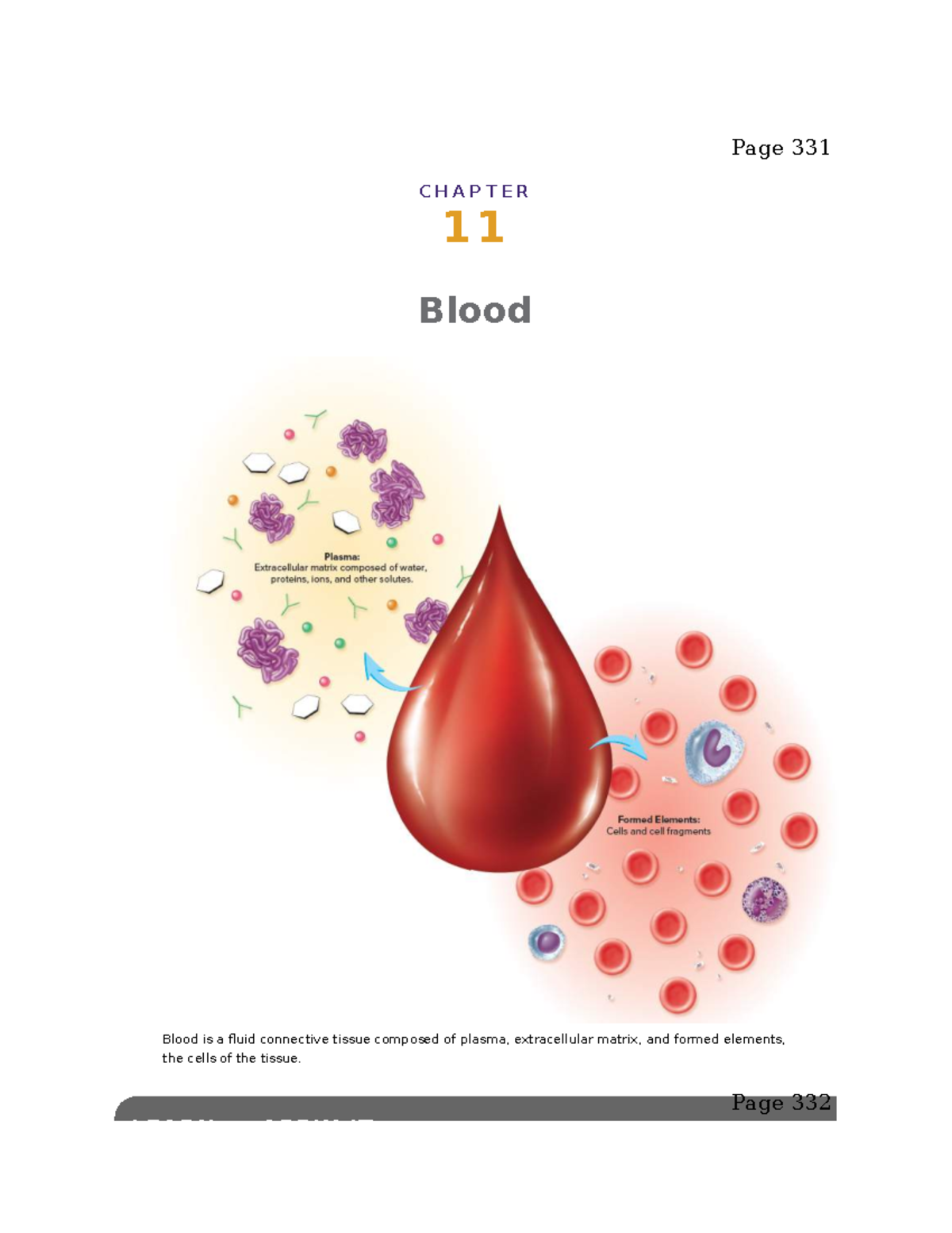 Blood - N/A - Page 331 C H A P T E R 11 Blood Blood is a fluid ...