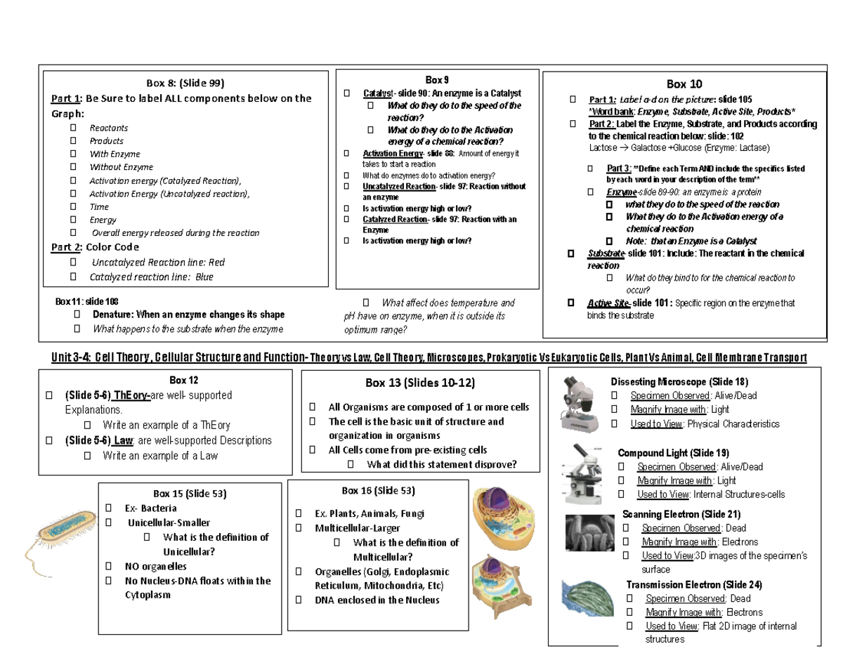 EOC cheat sheet directions - × What affect does temperature and pH have ...