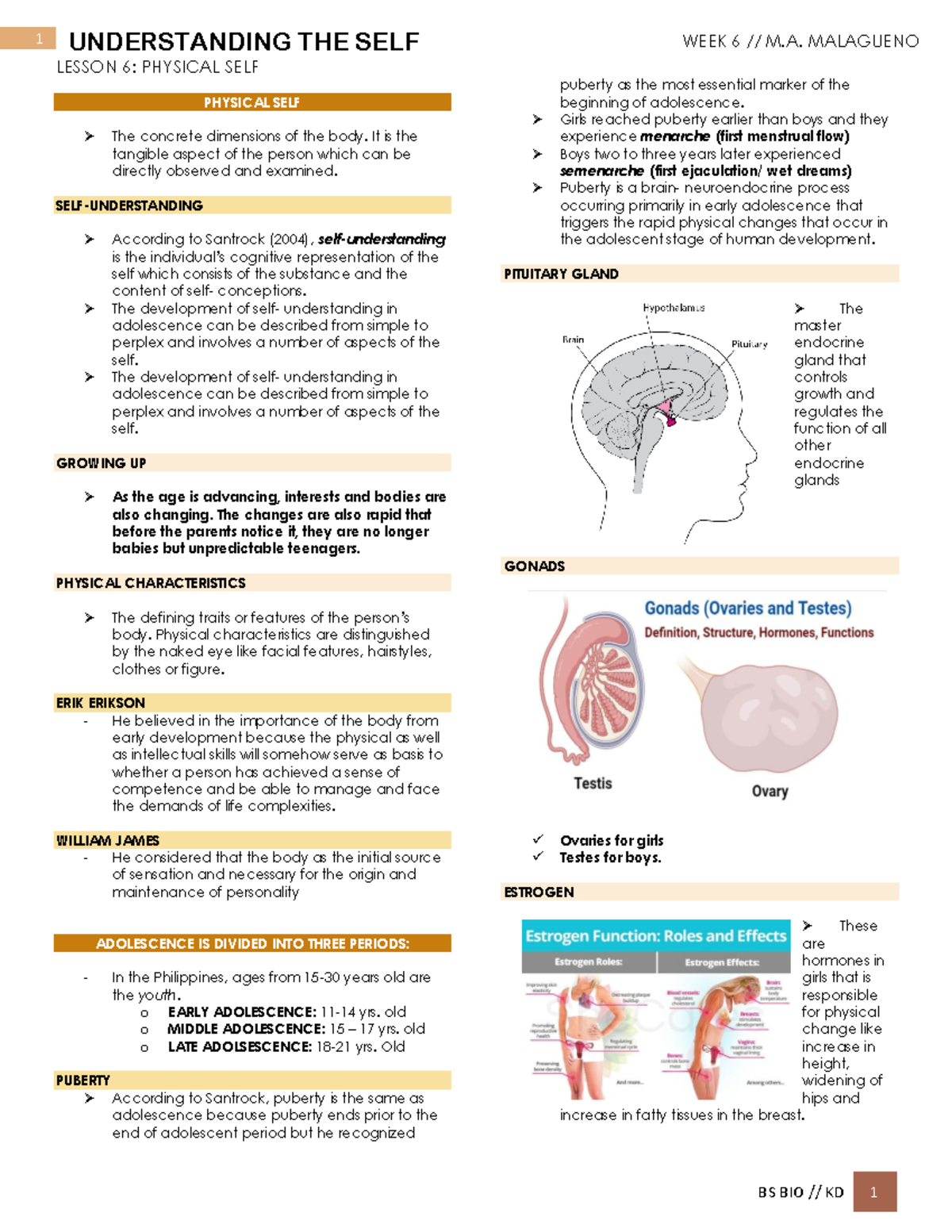 UTS W6 Physical Self - LESSON 6: PHYSICAL SELF PHYSICAL SELF The concrete dimensions of the body ...