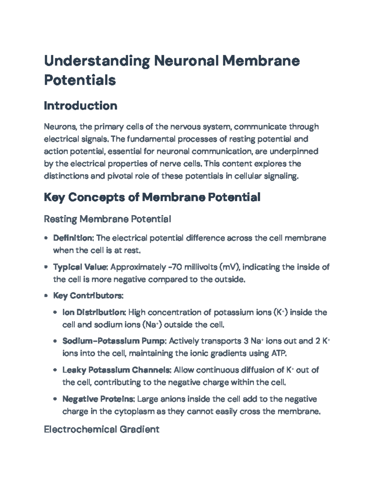 Understanding Neuronal Membrane Potentials: Resting & Action Phases ...