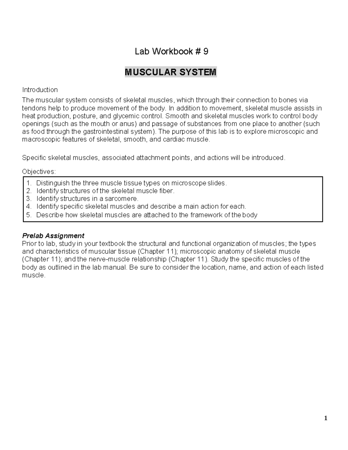 Ch 9 Muscular System-1 - Labeled diagrams and answers - Lab Workbook 9 ...