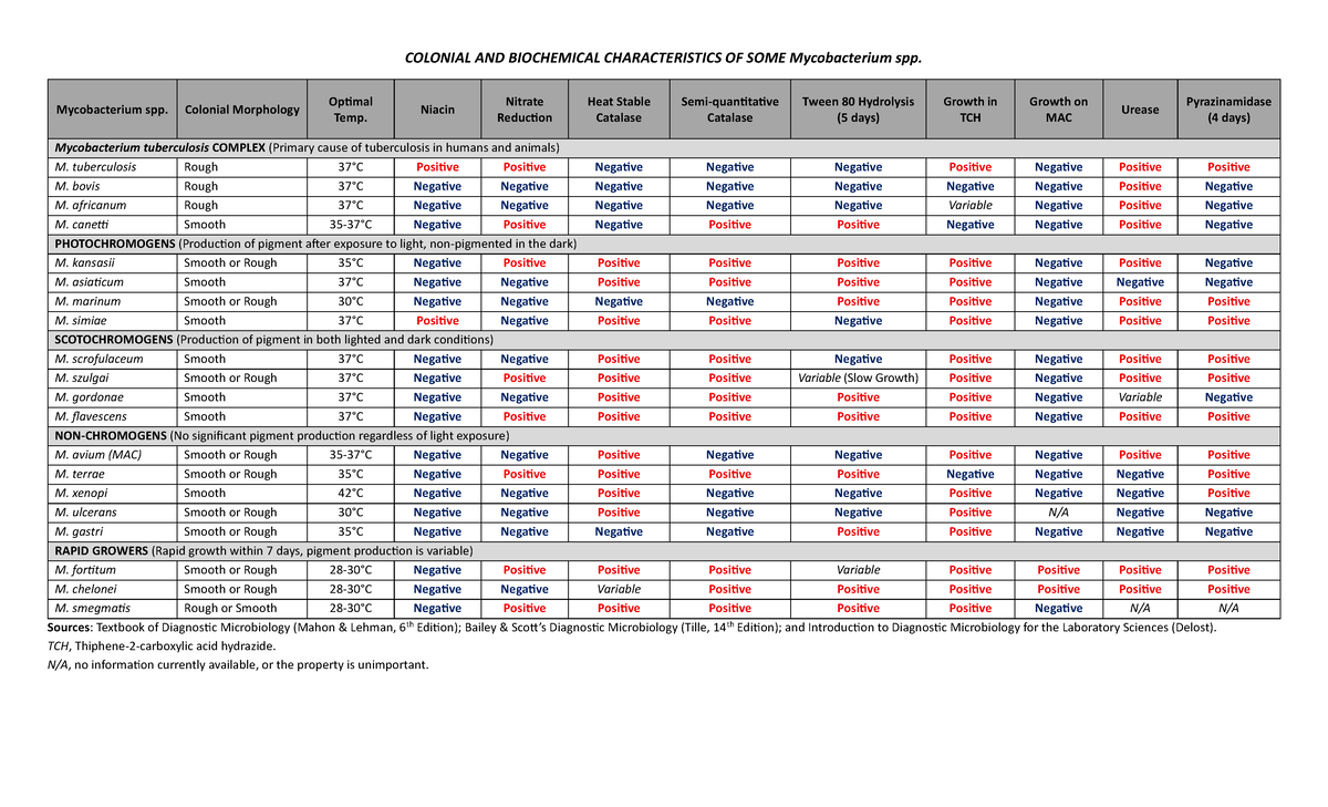 Biochemical Characteristics of Mycobacterium spp. (Course Code: BIO 101) - Studocu