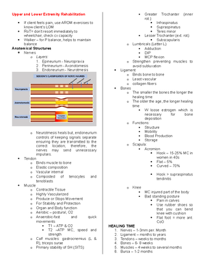 Group 2 BSOT-1A Extended Activity Analysis Form (Bathing) - VELEZ ...