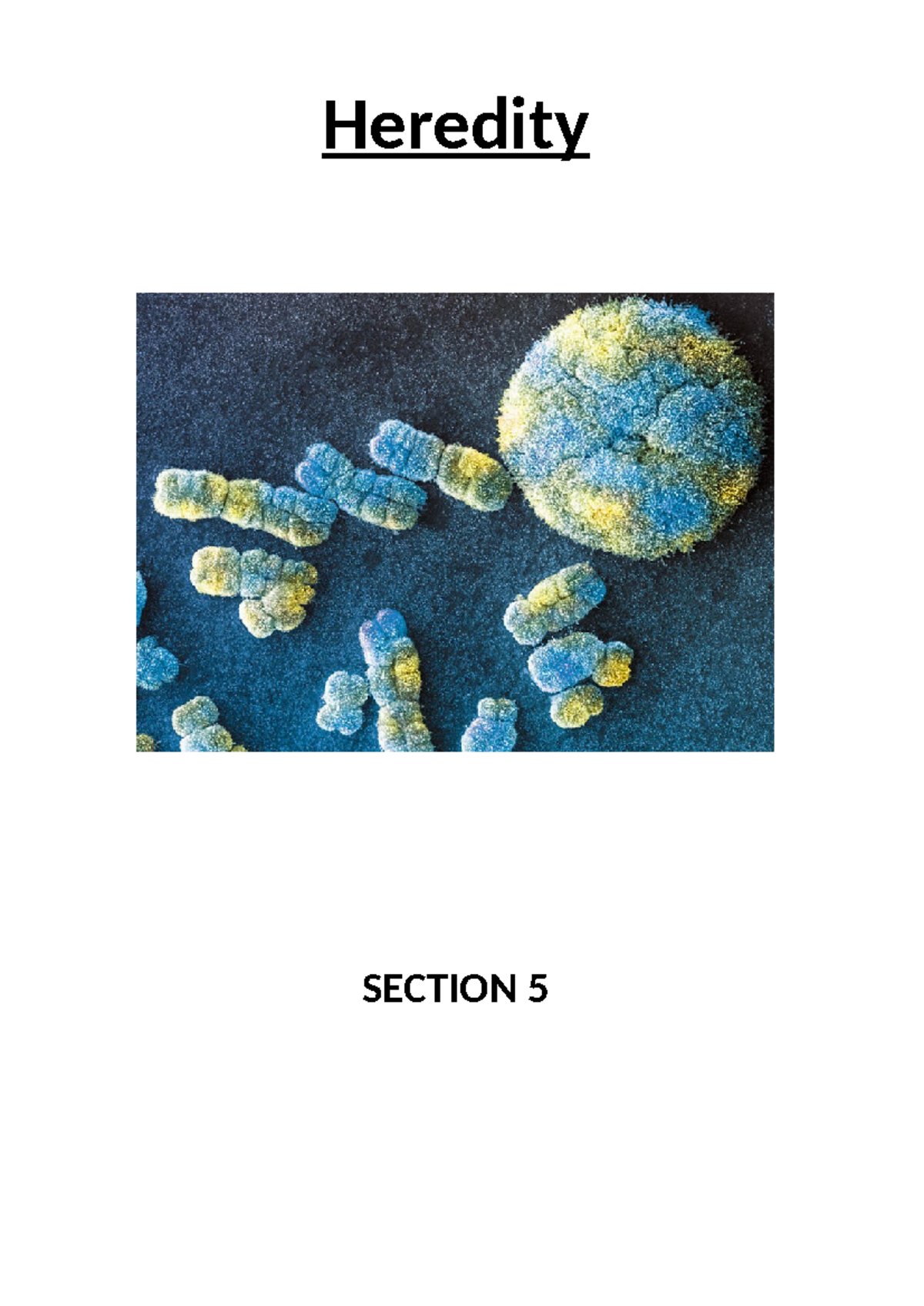 Heredity Section 5 - HSC Notes on DNA and Genetic Engineering - Studocu