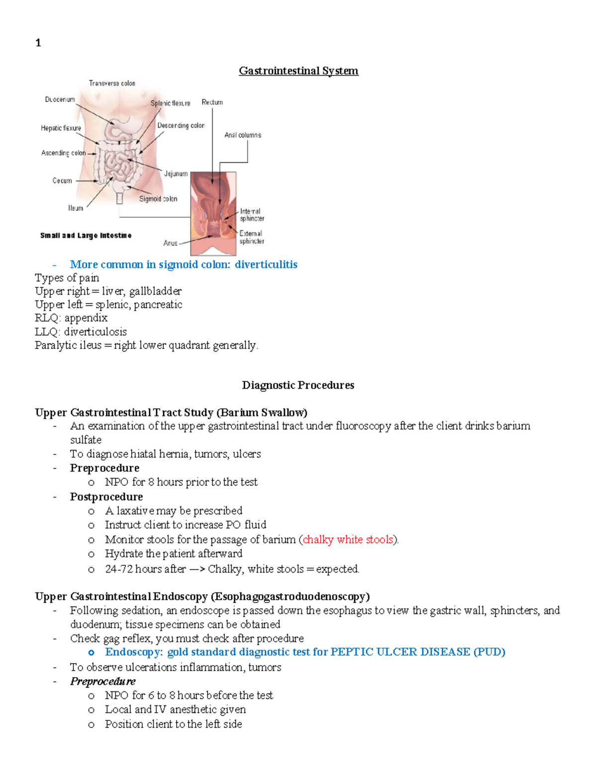 Test 3: Gastrointestinal System Overview - Dr. Ortega's Class - Studocu