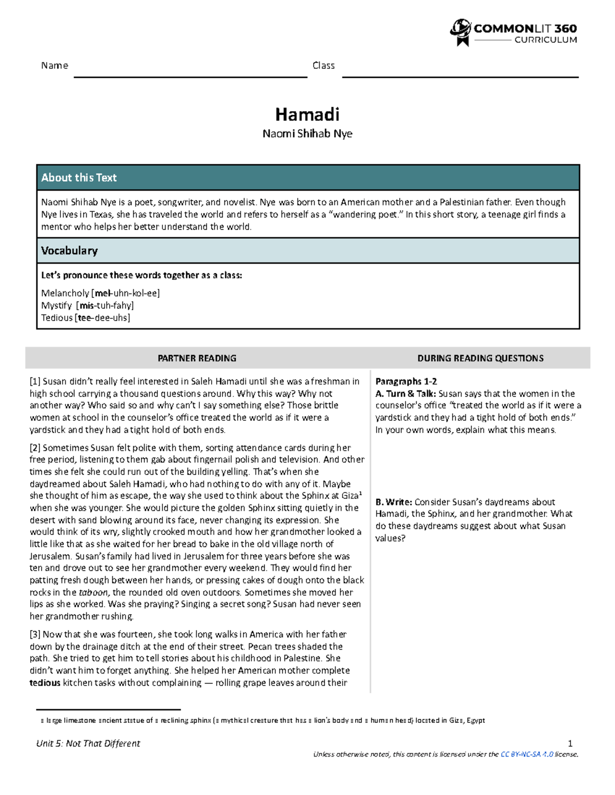 hamadi reading student - Name Class Hamadi Naomi Shihab Nye About this ...