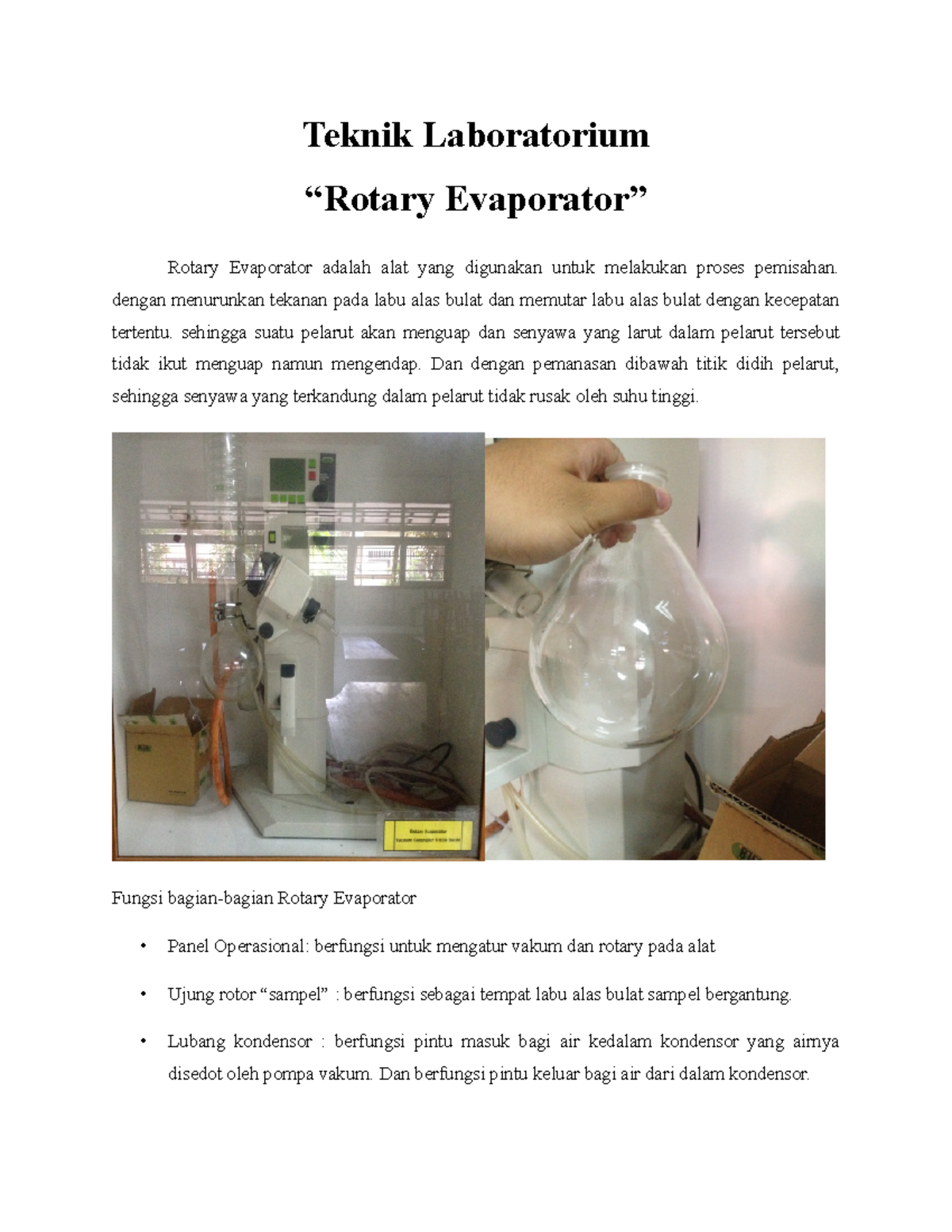 Panduan Lengkap Rotary Evaporator: Teknik Laboratorium dan Cara Kerja ...
