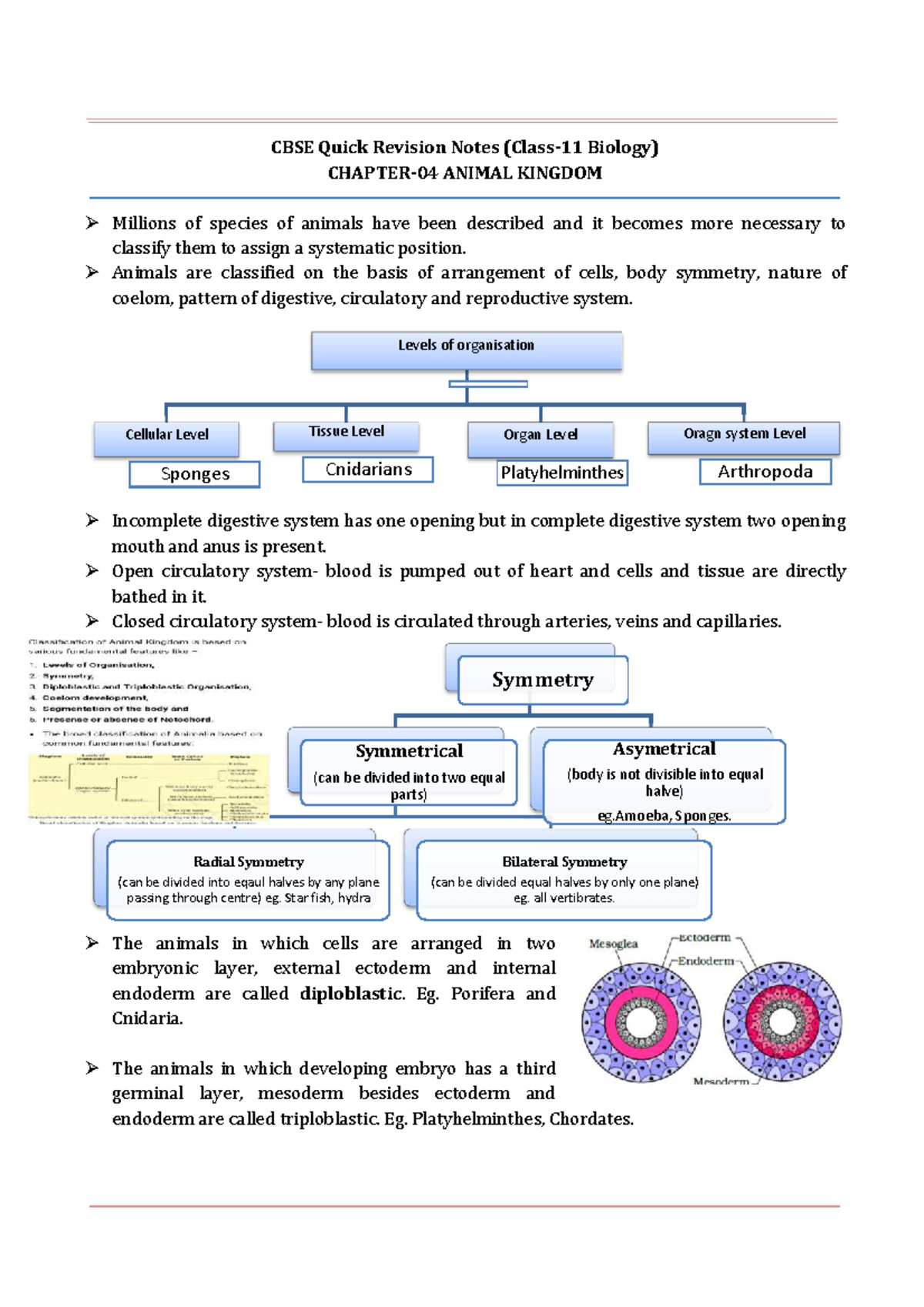 CBSE Chapter 4 Quick Revision Notes: Animal Kingdom Overview - Studocu