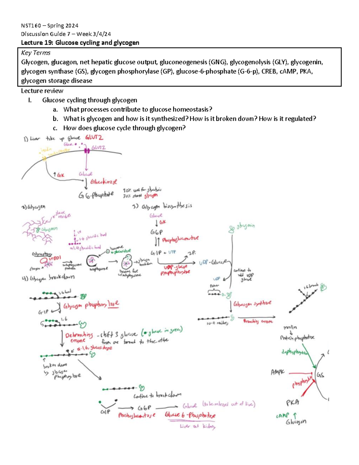 Annotated Discussion Guide 7 Lecture 19 20 Discussion Guide 7 Week 3 4 2 4 Lecture 1 9