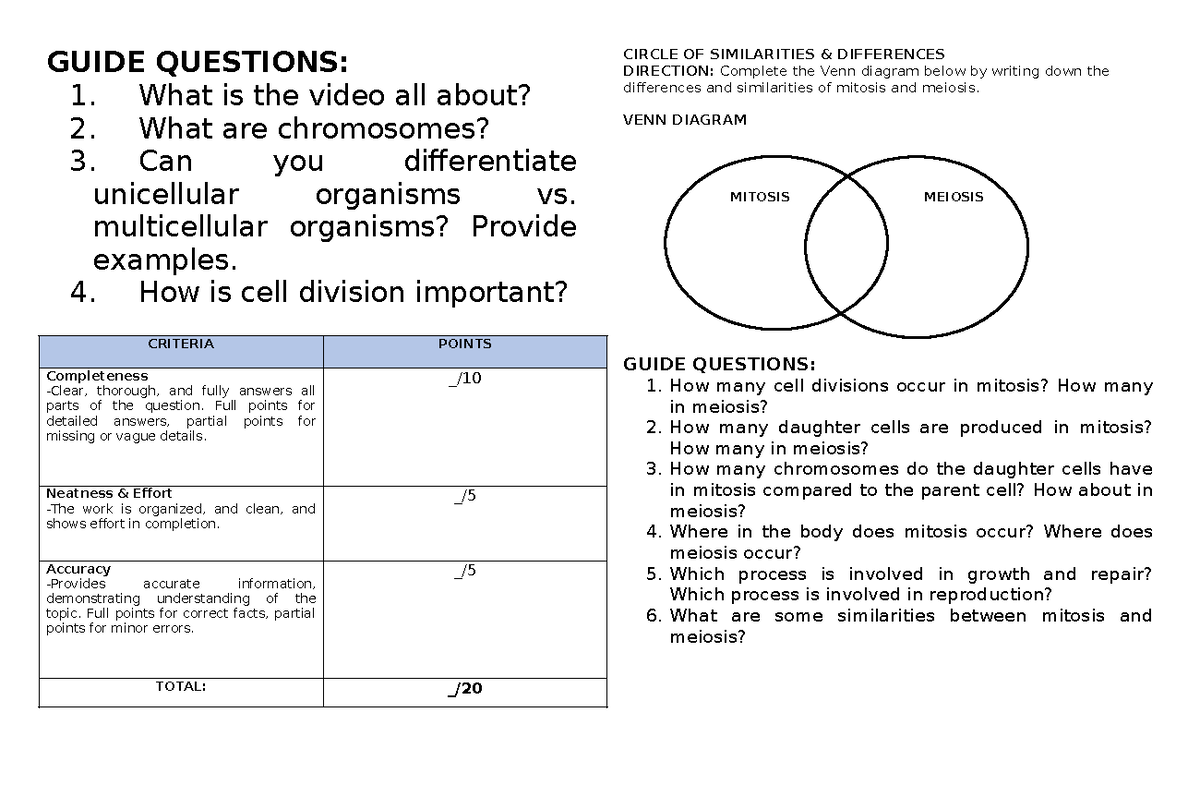 Guide Questions - GUIDE QUESTIONS: 1. What is the video all about? 2 ...