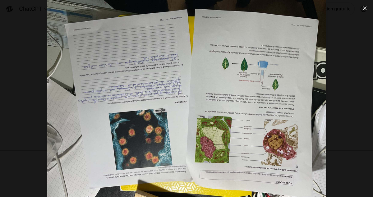 Chat GPT - Devoir Maison: Questions et Réponses - Studocu