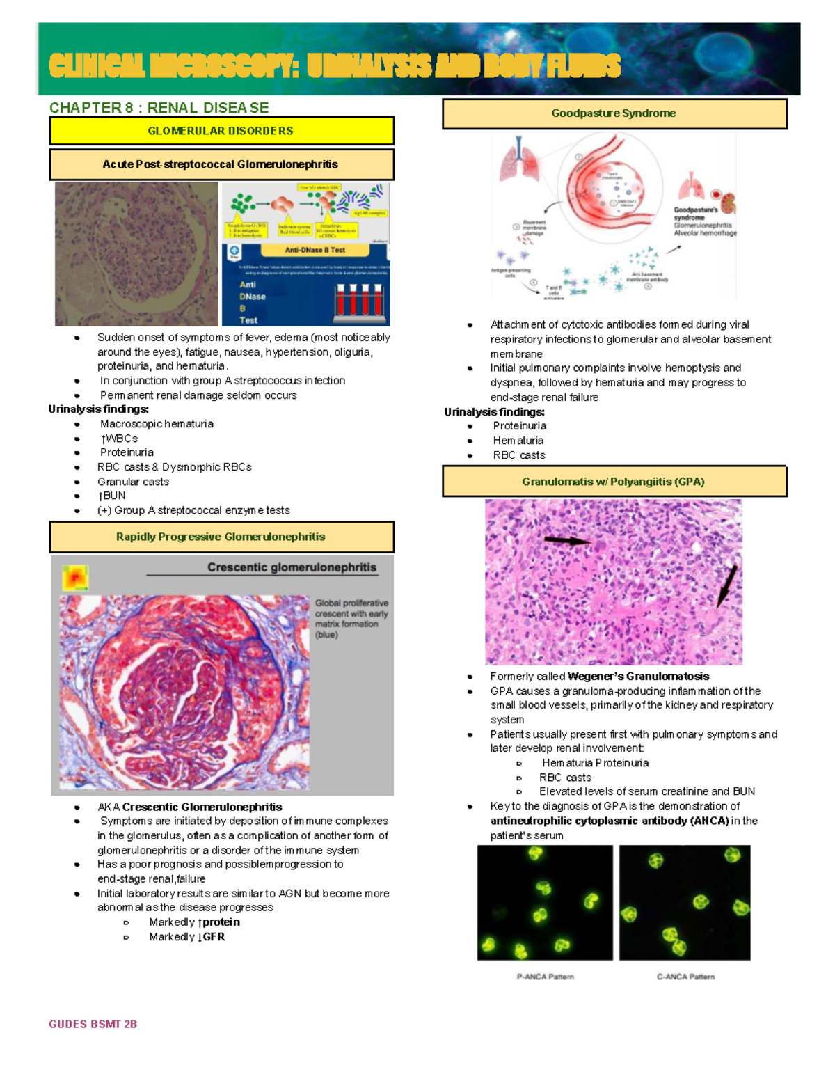 CHAPTER 8: RENAL DISEASE - Goodpasture Syndrome & Glomerular Disorders - Studocu