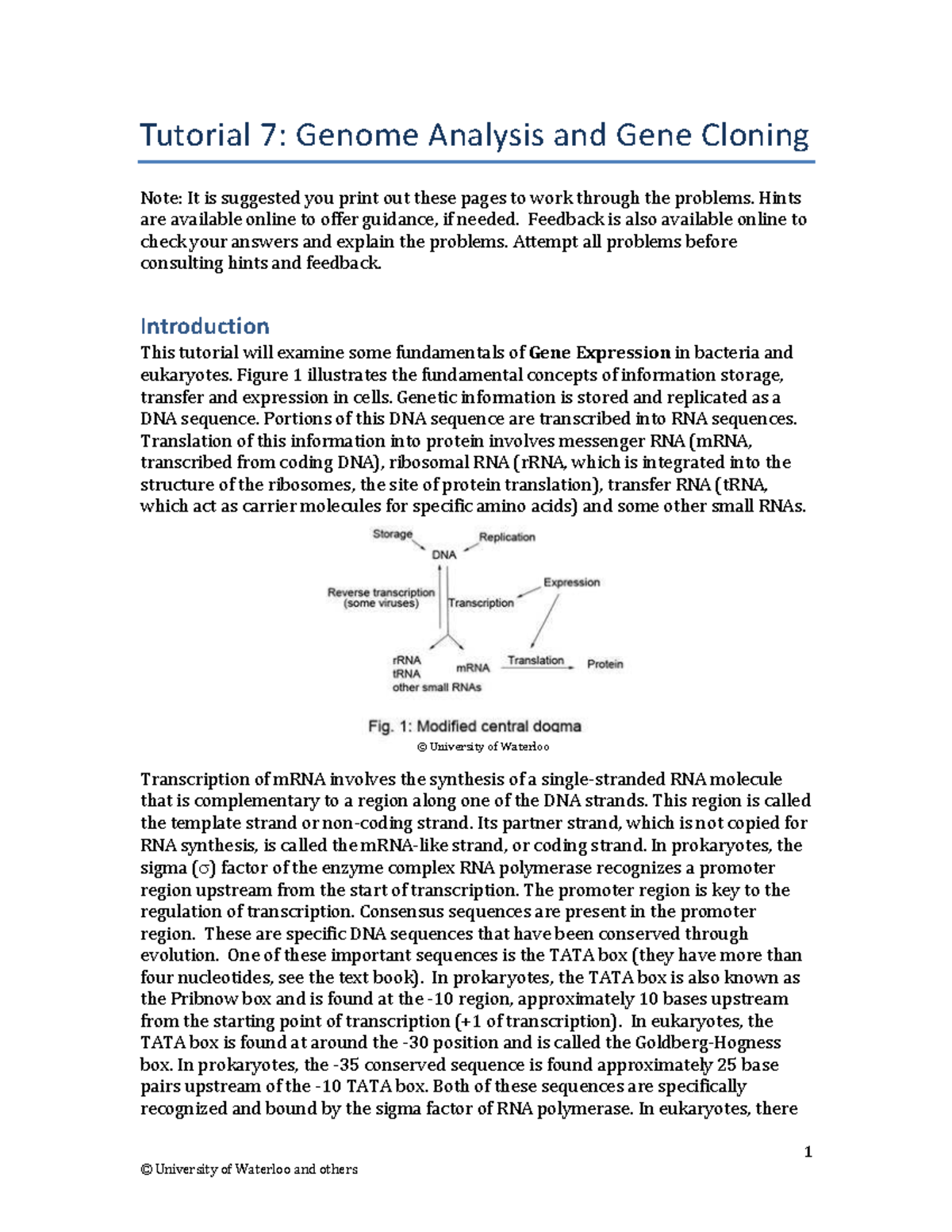 Tutorial 7: Gene Expression, Cloning & Analysis Notes - Studocu