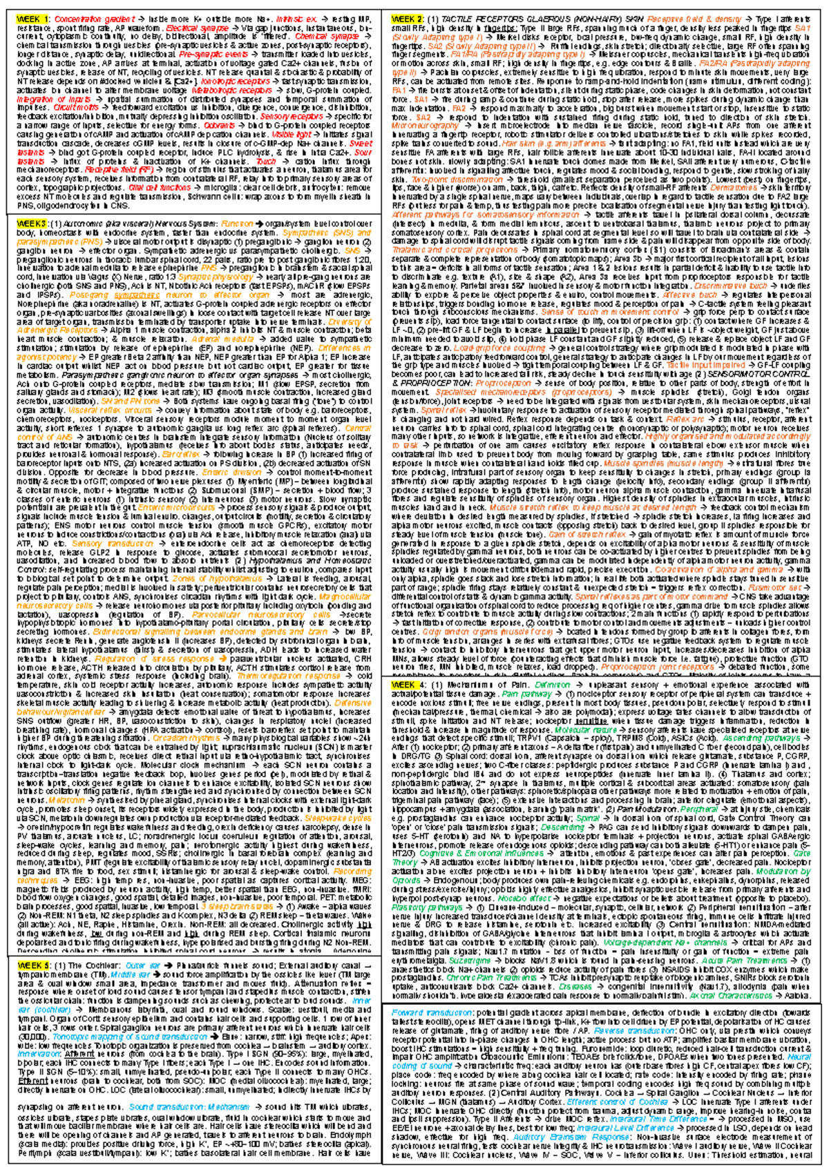 NEUR3221 Final Exam Cheat Sheet: Key Concepts in Neurophysiology - Studocu