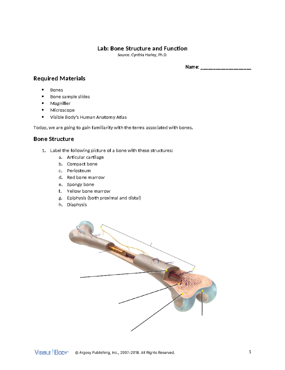 Week 3 bone-structure-function VB - Lab: Bone Structure and Function ...