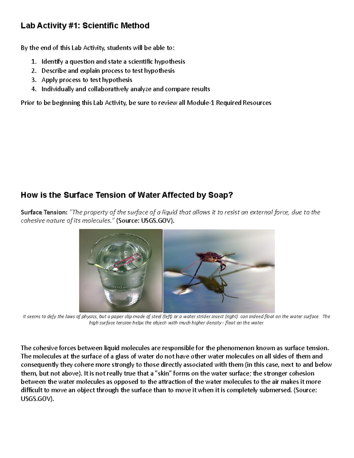 Lab Activity #1: Exploring Surface Tension with Soap and Water - Studocu