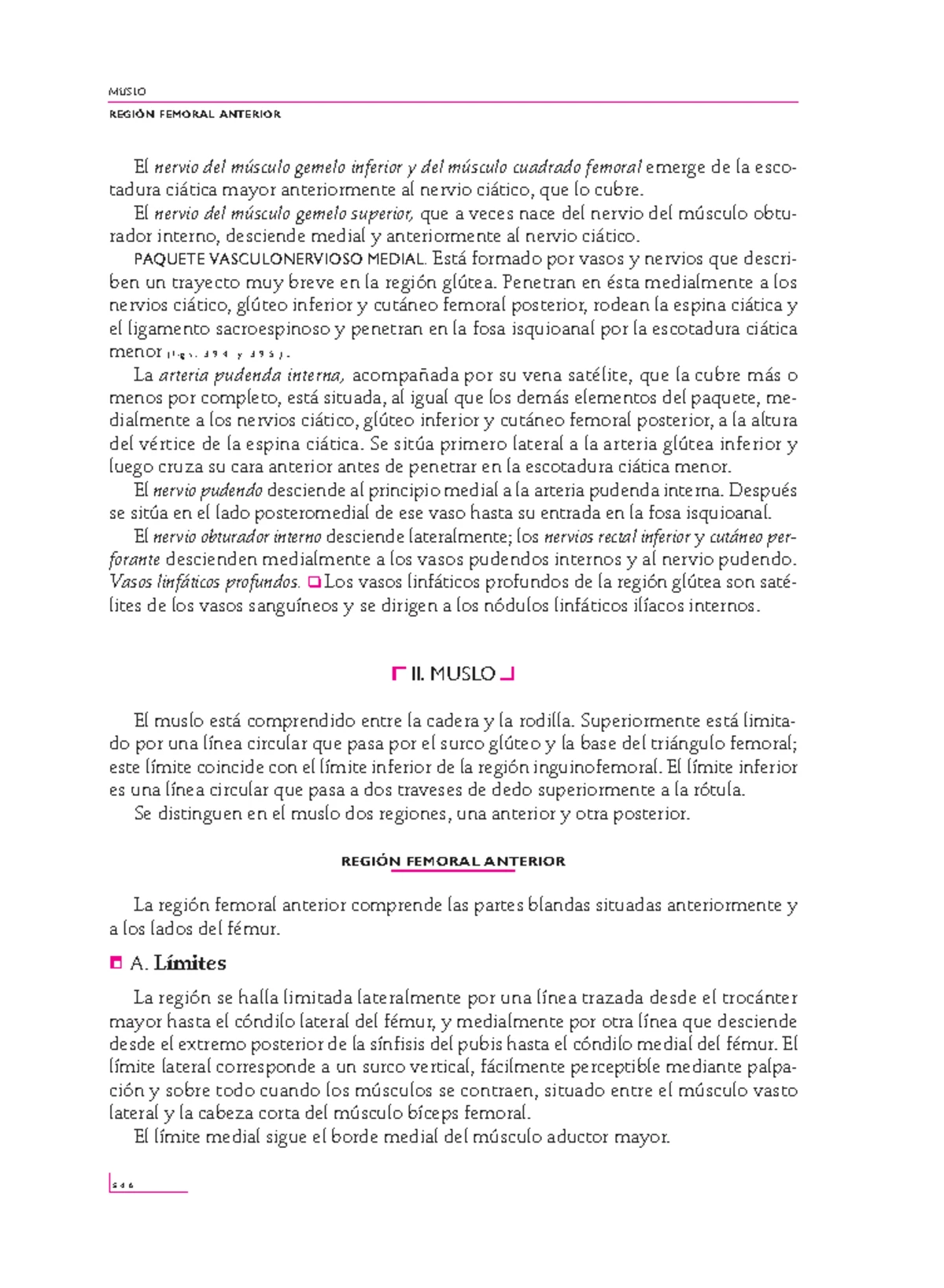 Anatomía Rouviere Tomo 3: Nervios y Vasos en la Región Femoral Anterior ...