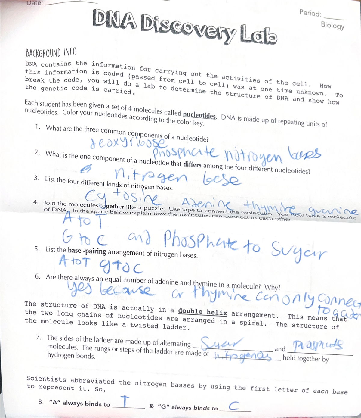 Biology Lab: DNA Discovery Insights (BIOL 101) - Molecular Structure ...