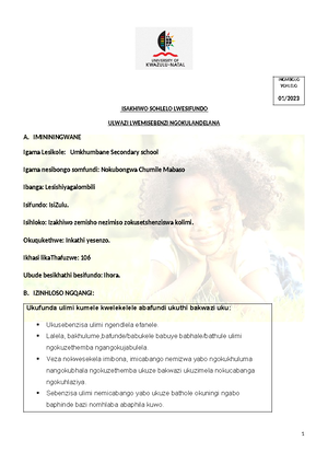 2025 GR.9 Final Exam Isizulu HL Lesson Plans for Zululand District ...