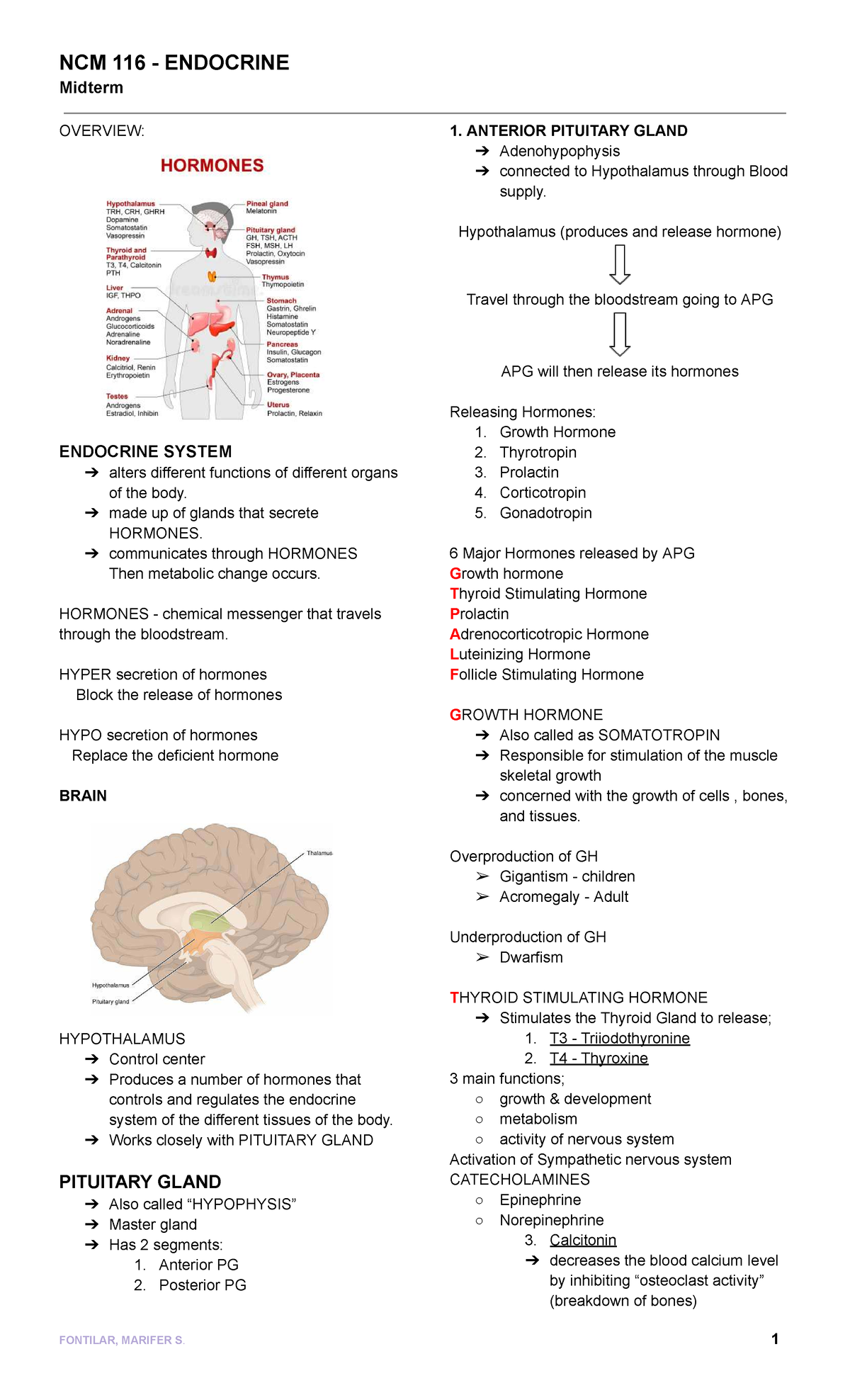 NCM 116 ENDOCRINE Midterm Study Notes: Hormones & Gland Functions - Studocu