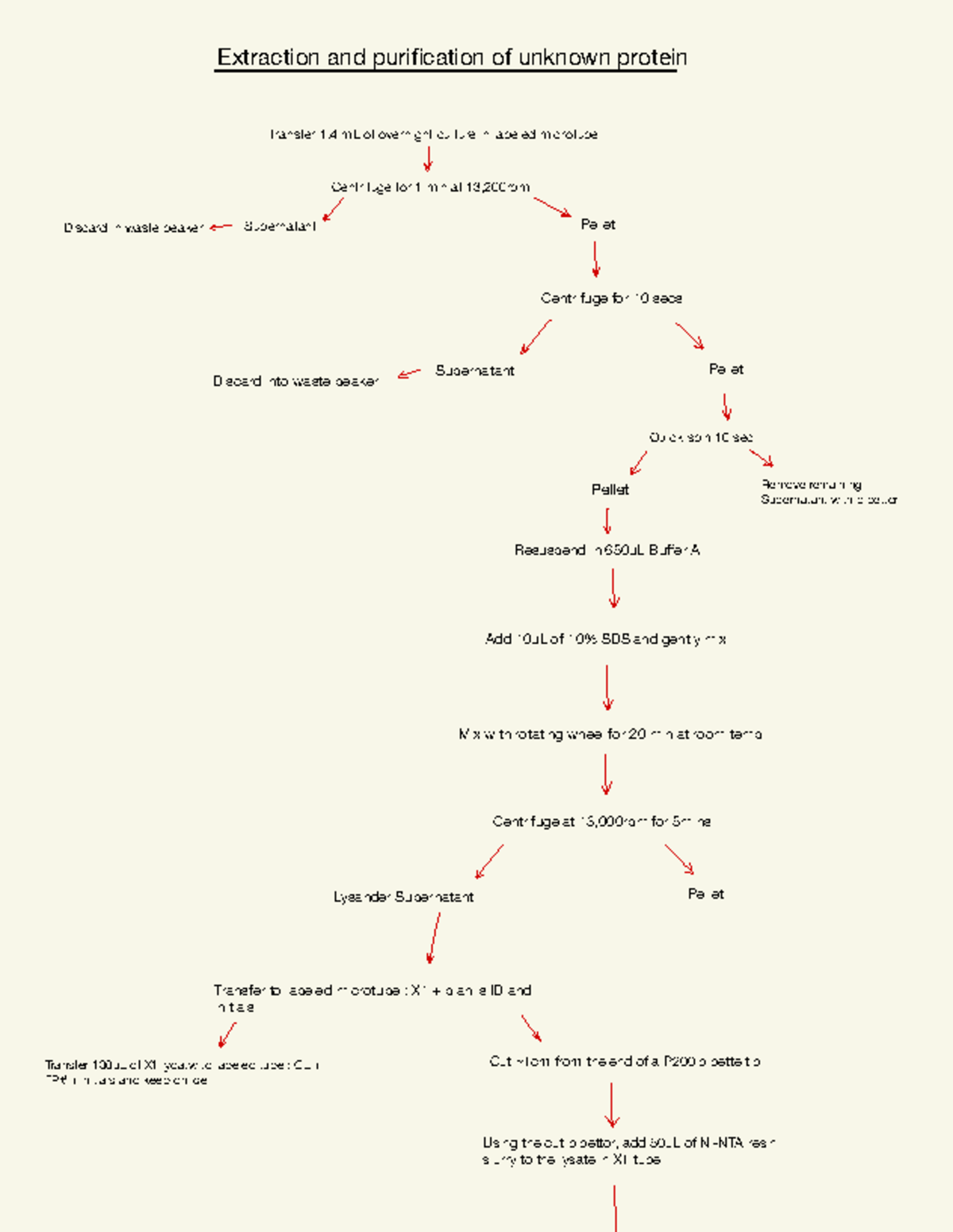 Extraction and Purification of Unknown Protein - Lab Flow Chart - Studocu