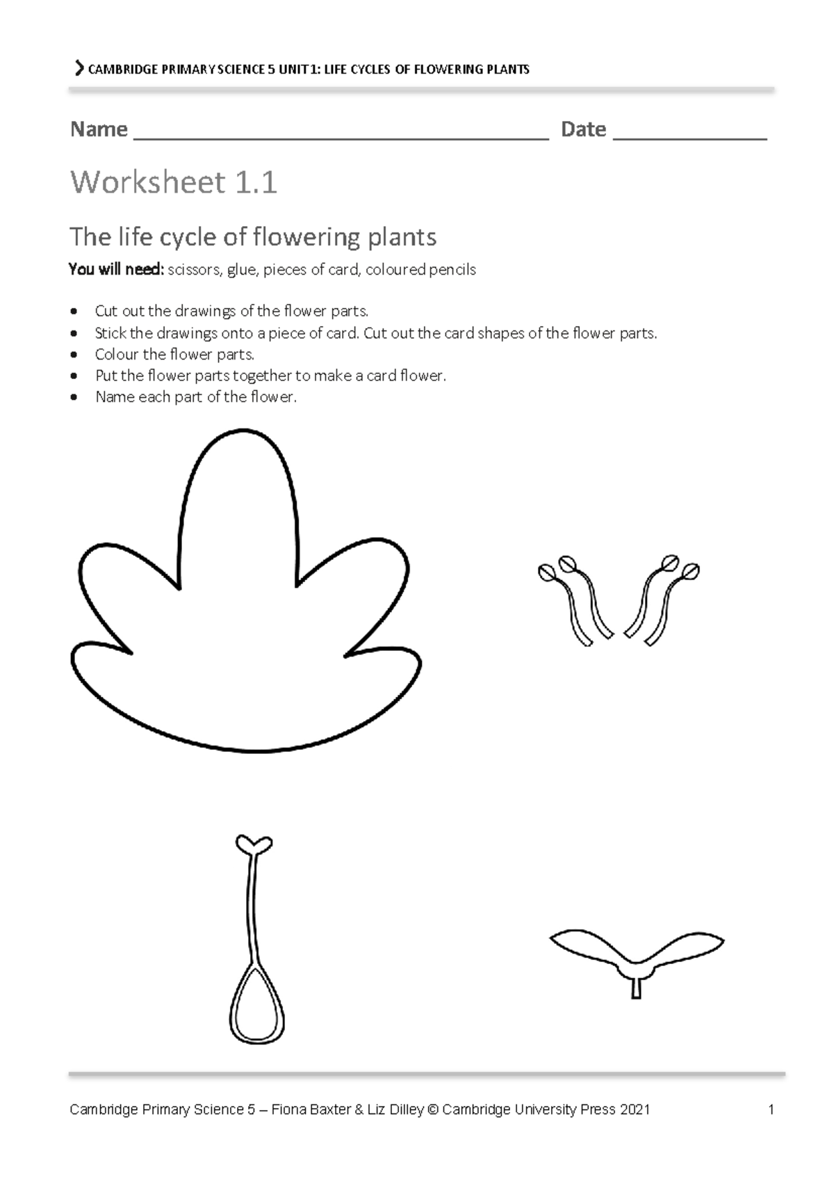 CAMBRIDGE PRIMARY SCIENCE 5 UNIT 1: LIFE CYCLES WORKSHEETS - Studocu