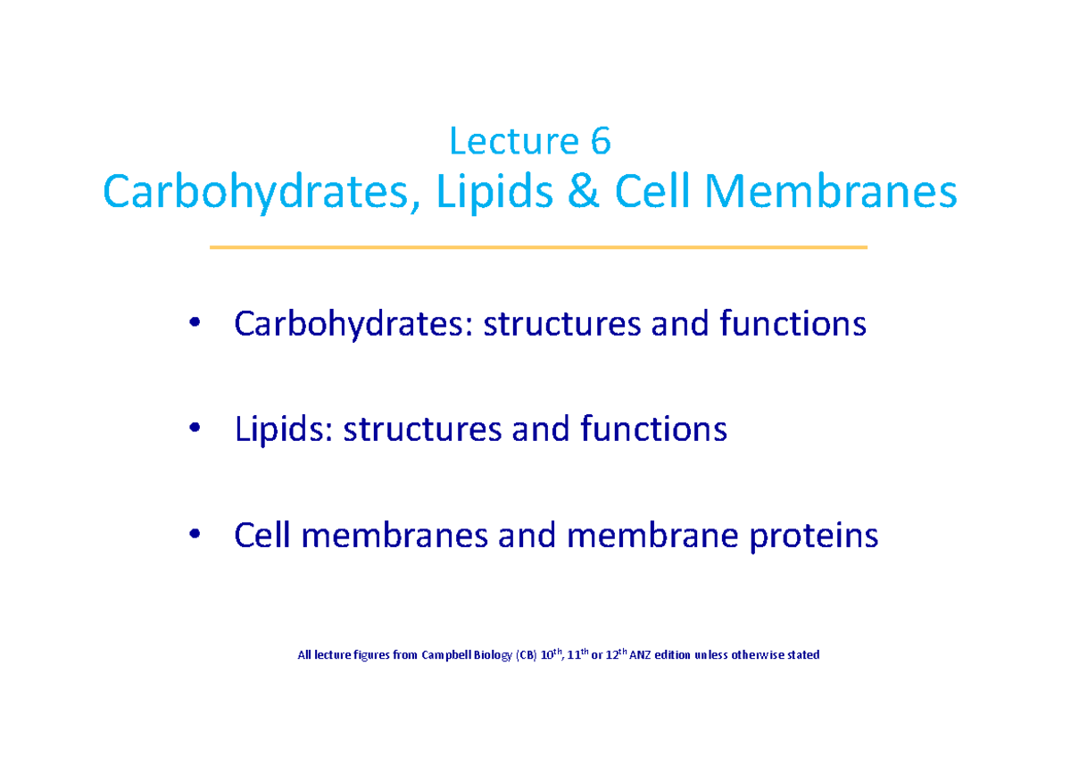 L6 Lecture Notes: Carbohydrates, Lipids & Cell Membranes - Studocu